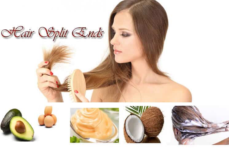 10 Natural Home Remedies to Get Rid of Split Ends 10 Natural Home Remedies to Get Rid of Split Ends